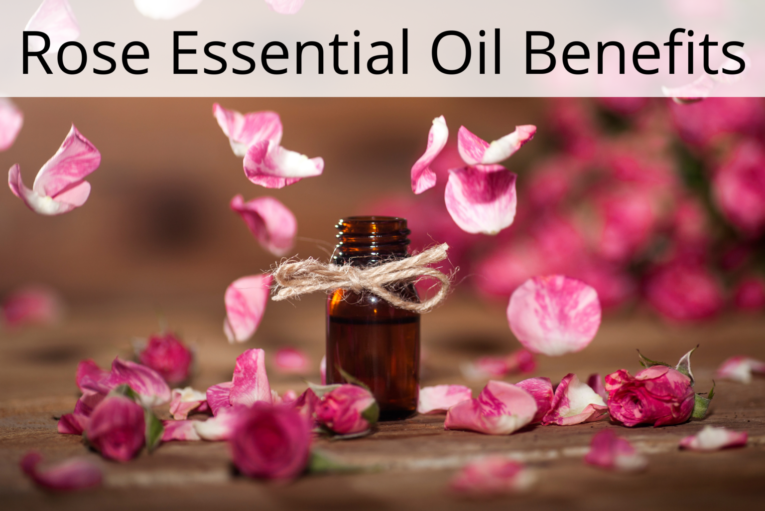 7 Rose Essential Oil Benefits for Beauty and Health