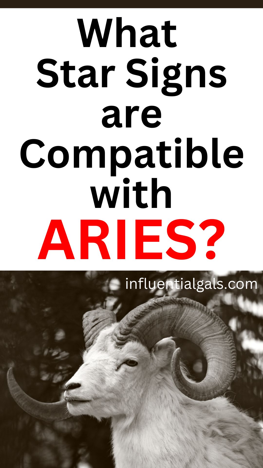 Best Signs for Aries