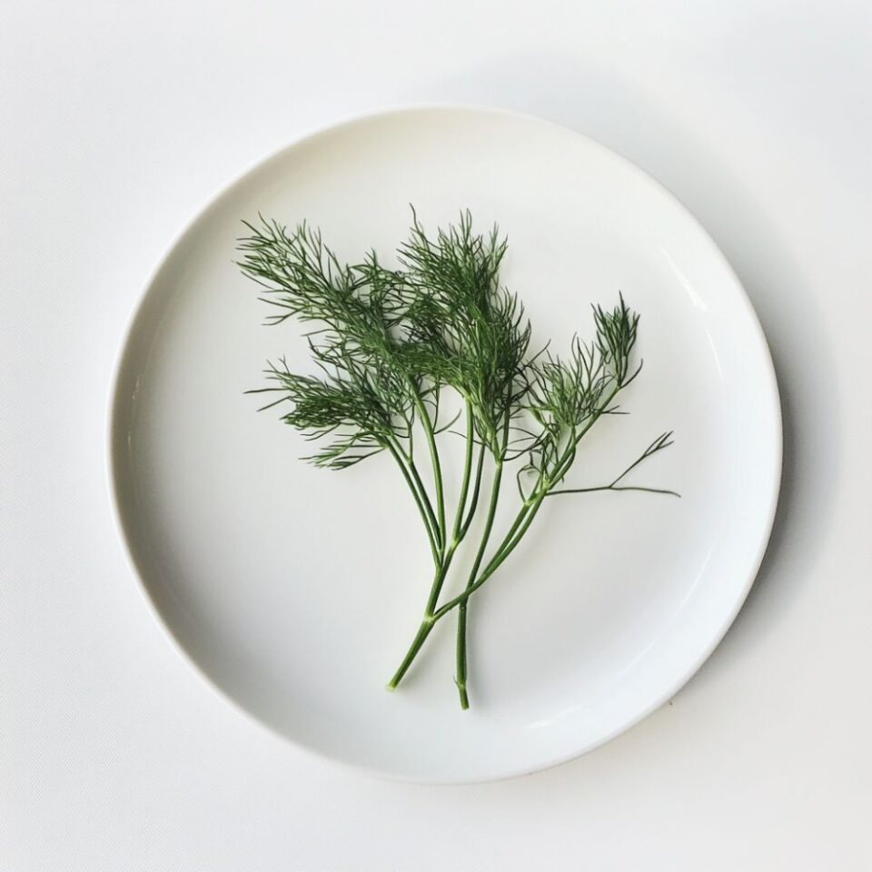33 Essential Herbs for the Kitchen Witch